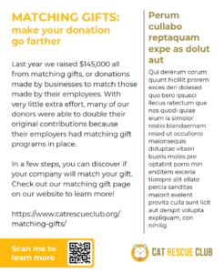 14 Types of Matching Gift Letters Every Nonprofit Should Send