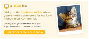 14 Types of Matching Gift Letters Every Nonprofit Should Send