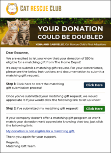 Corporate Matching Gift Programs: The Definitive Guide for Growing Your ...