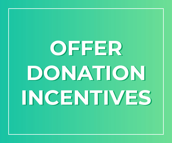 Online Fundraising: A Guide for Nonprofits