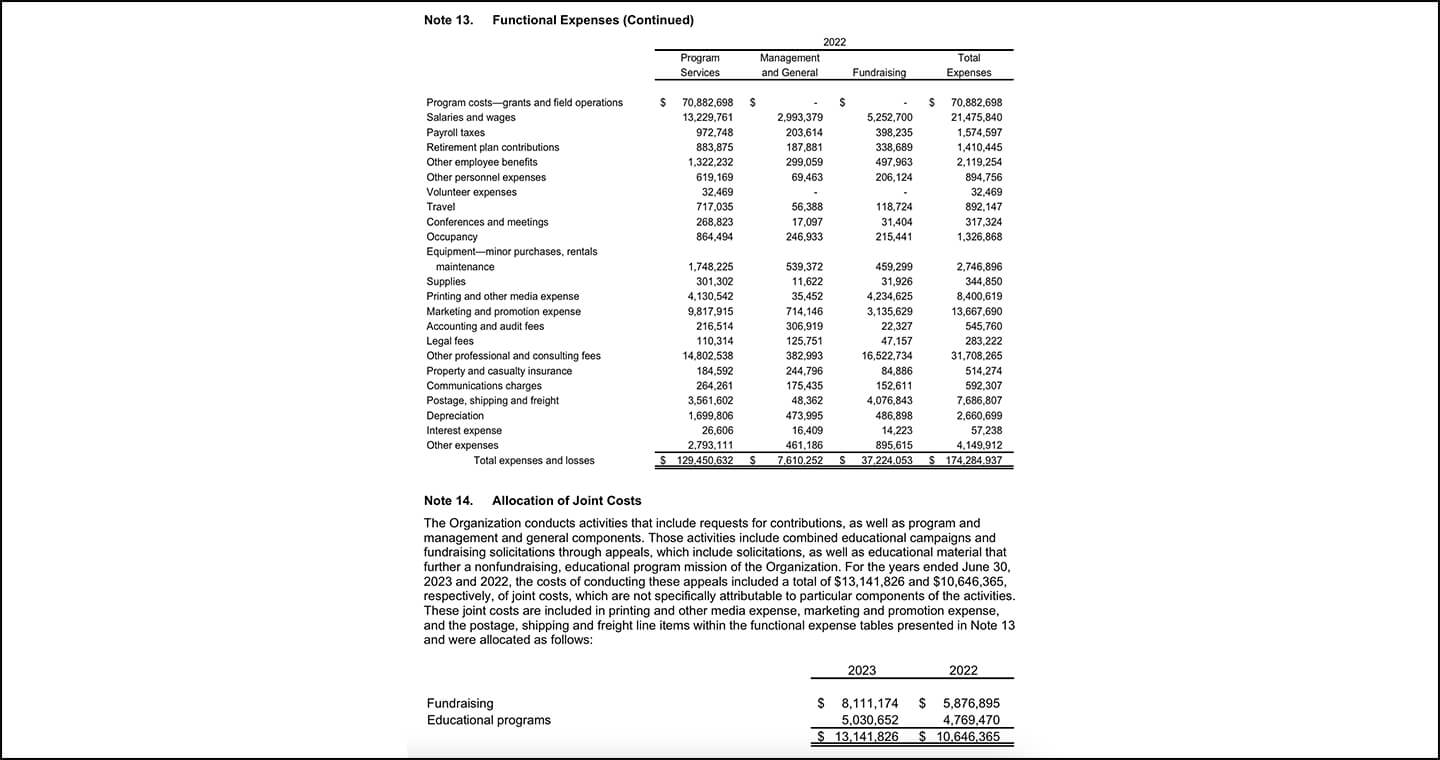 How to Master the Art of Nonprofit Financial Statements