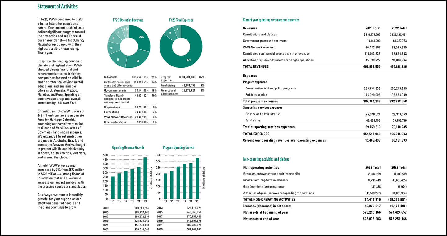 How to Master the Art of Nonprofit Financial Statements