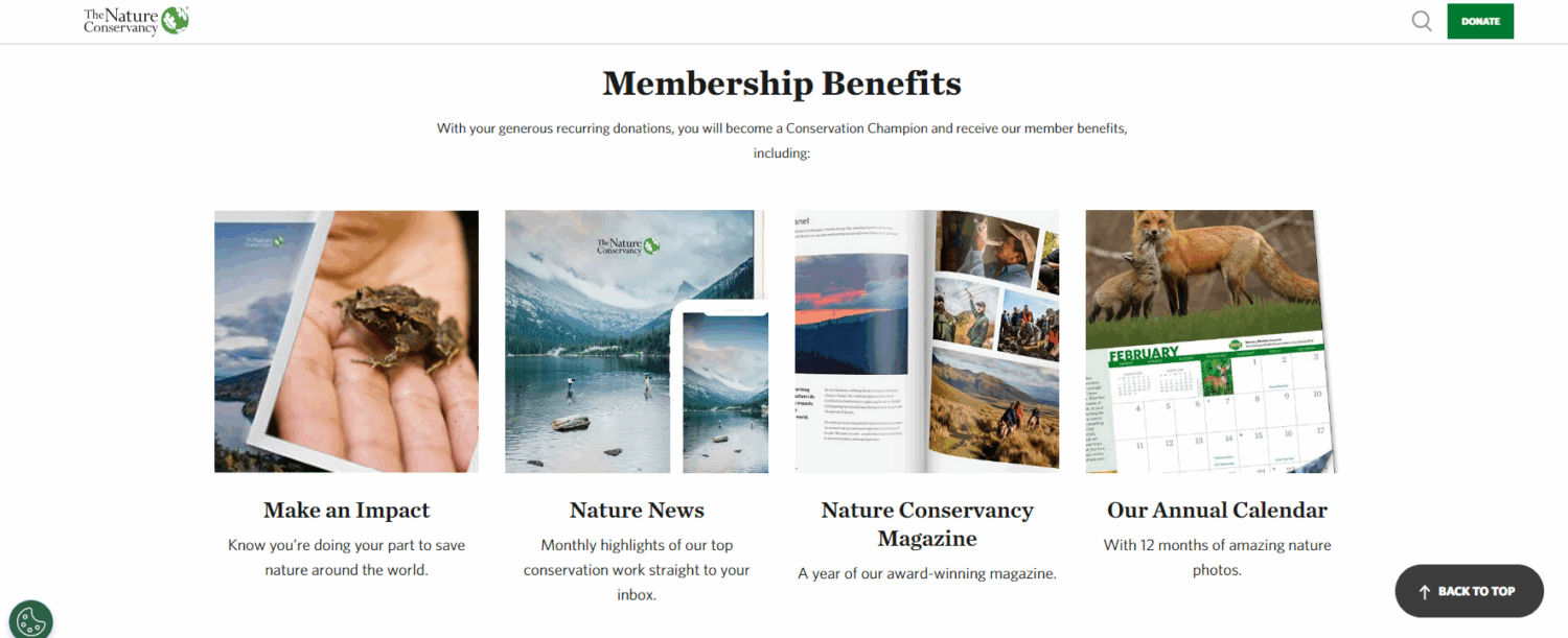 Revolutionizing Your ROI: A Guide to Monthly Giving Programs