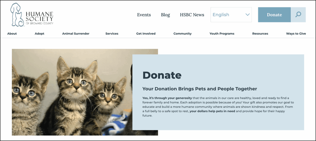 A Complete Guide to Creating a Donation Page (with Examples)