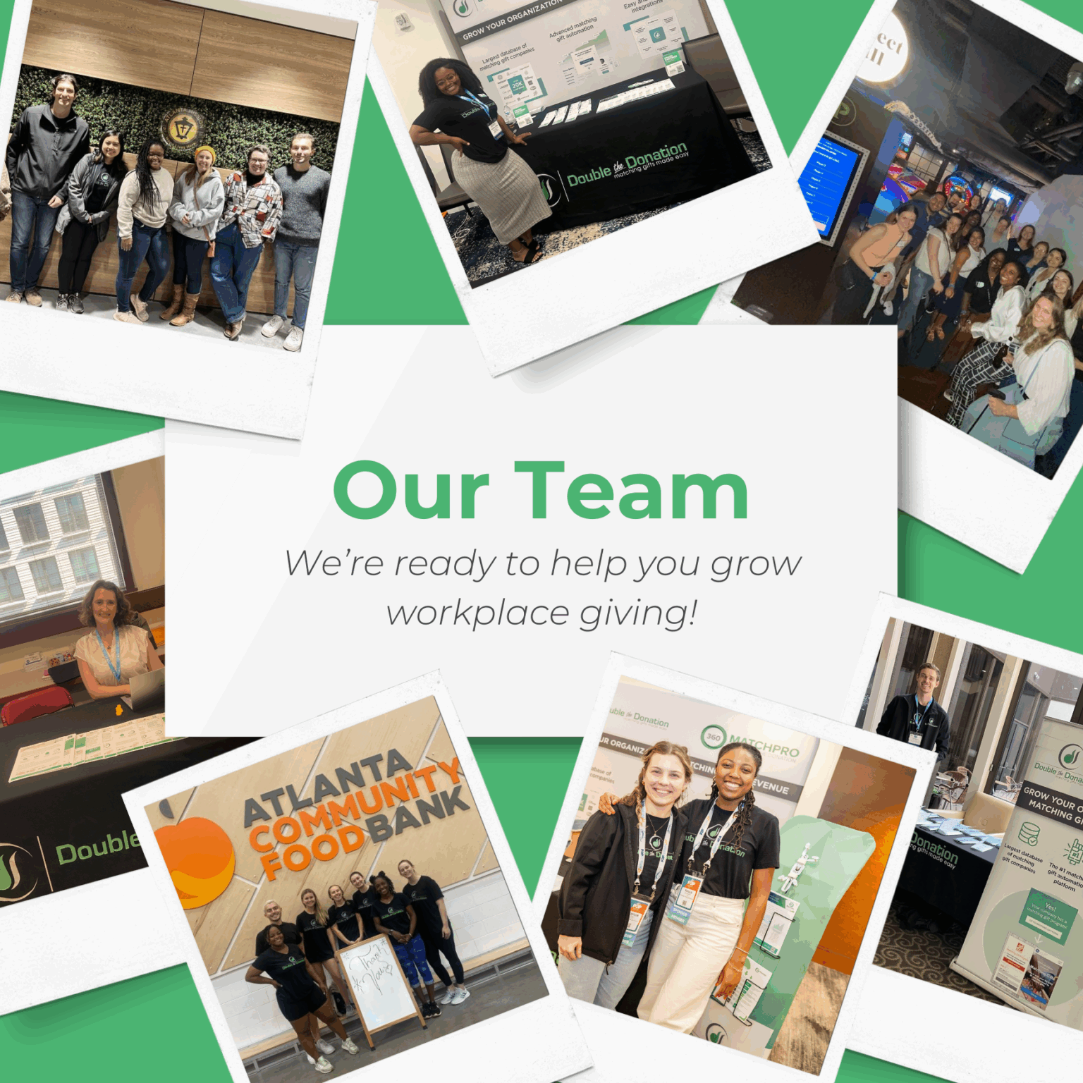 Meet the Team